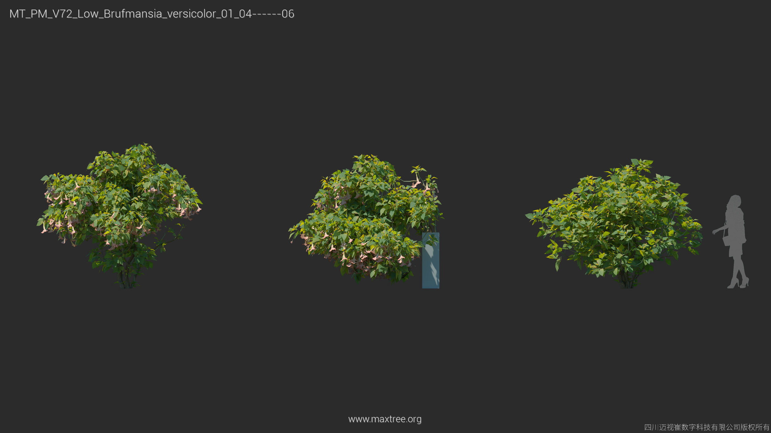 Maxtree Plant Models Vol 72 Low Poly - Mesh 3D model | CGTrader