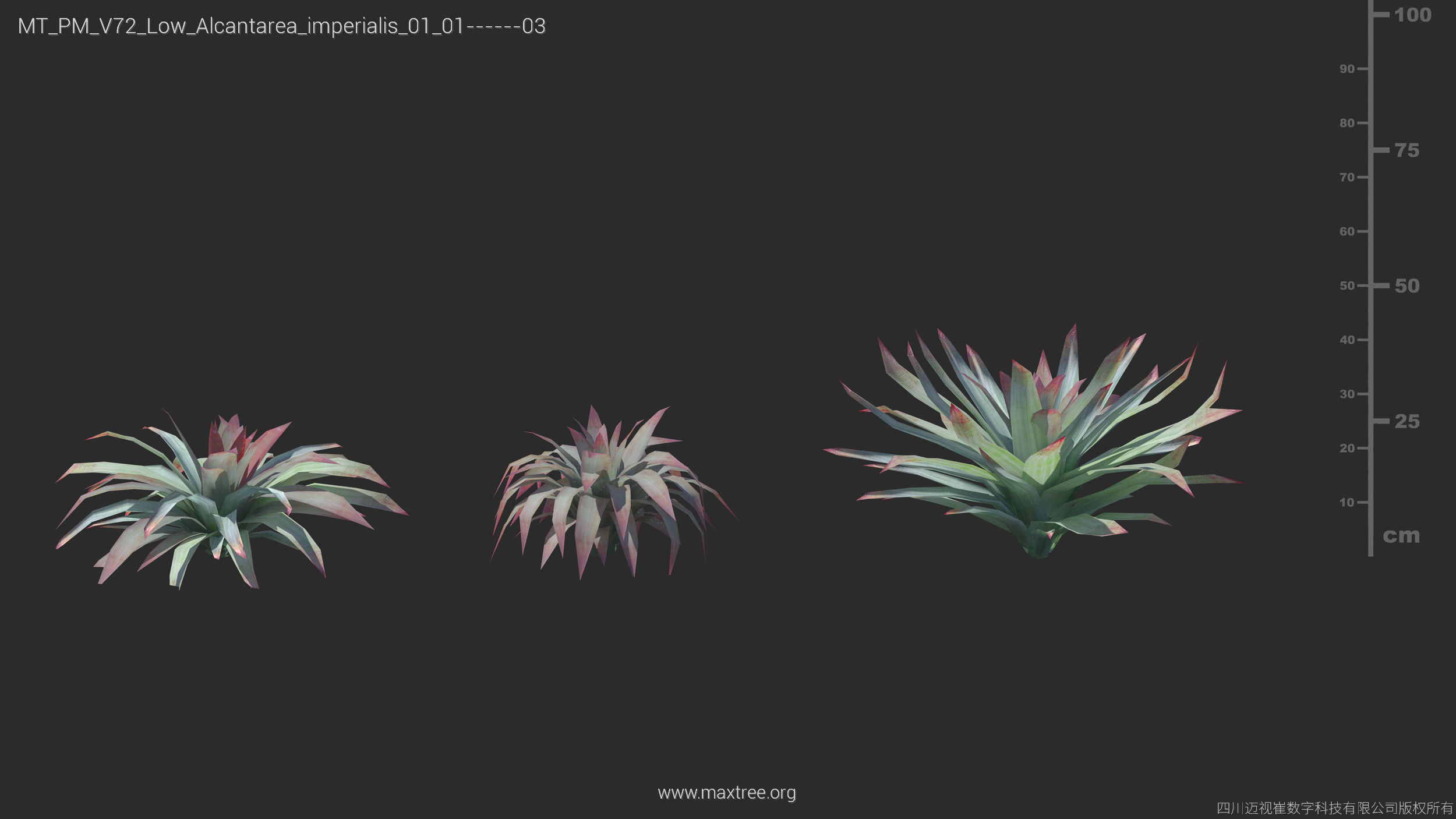 Maxtree Plant Models Vol 72 Low Poly - Mesh 3D model | CGTrader