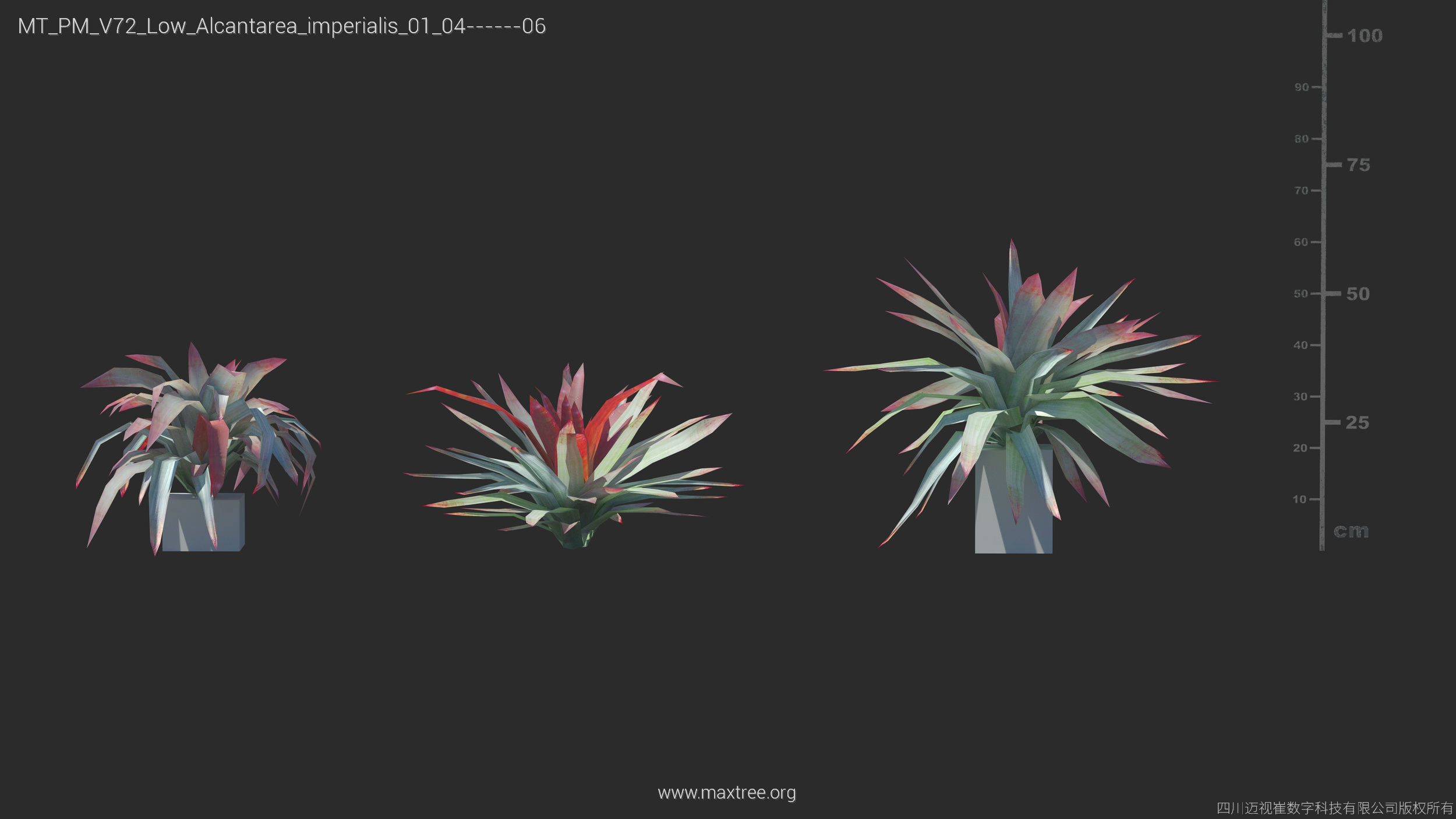 Maxtree Plant Models Vol 72 Low Poly - Mesh 3D model | CGTrader