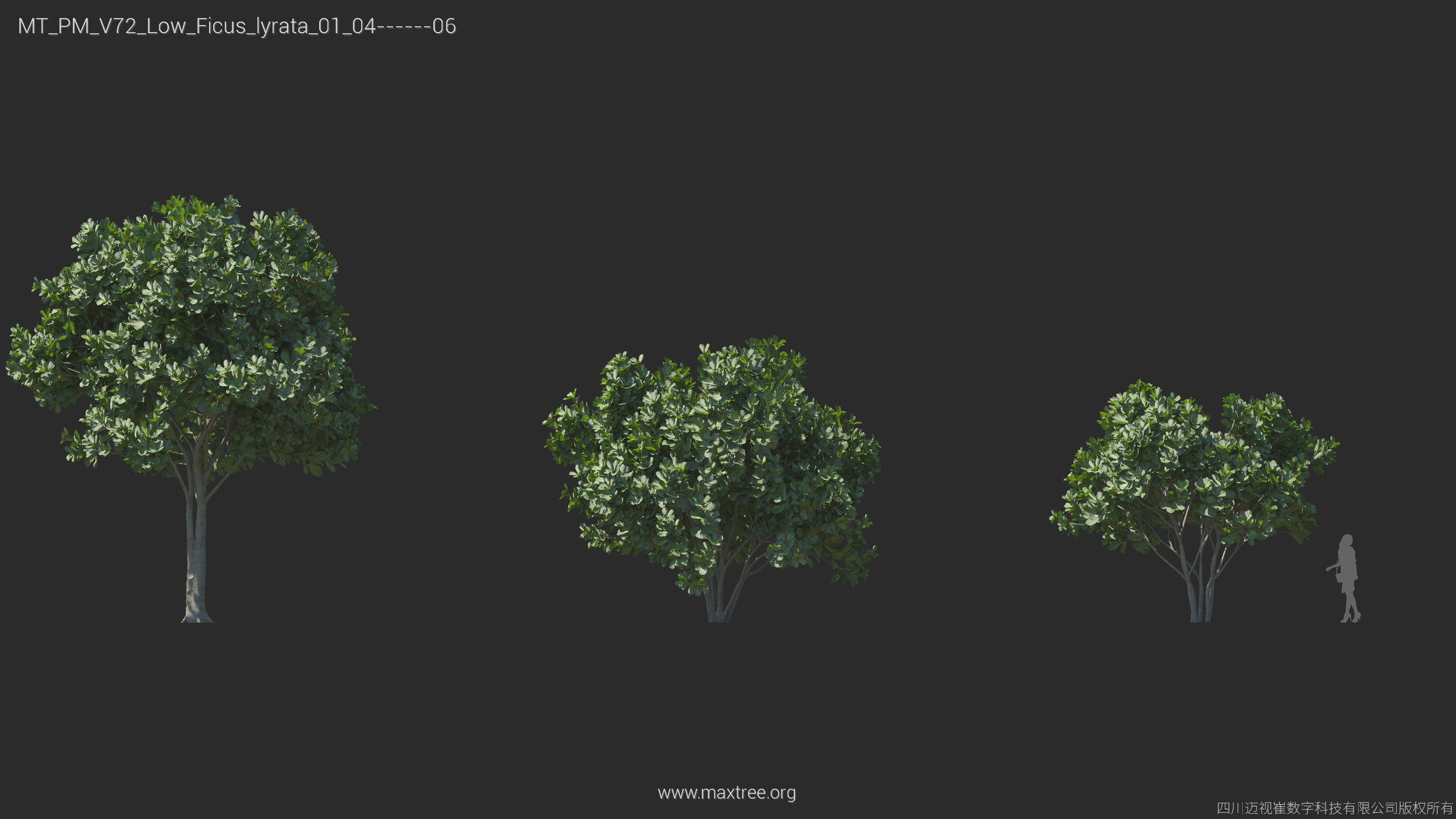 Maxtree Plant Models Vol 72 Low Poly - Mesh 3D model | CGTrader