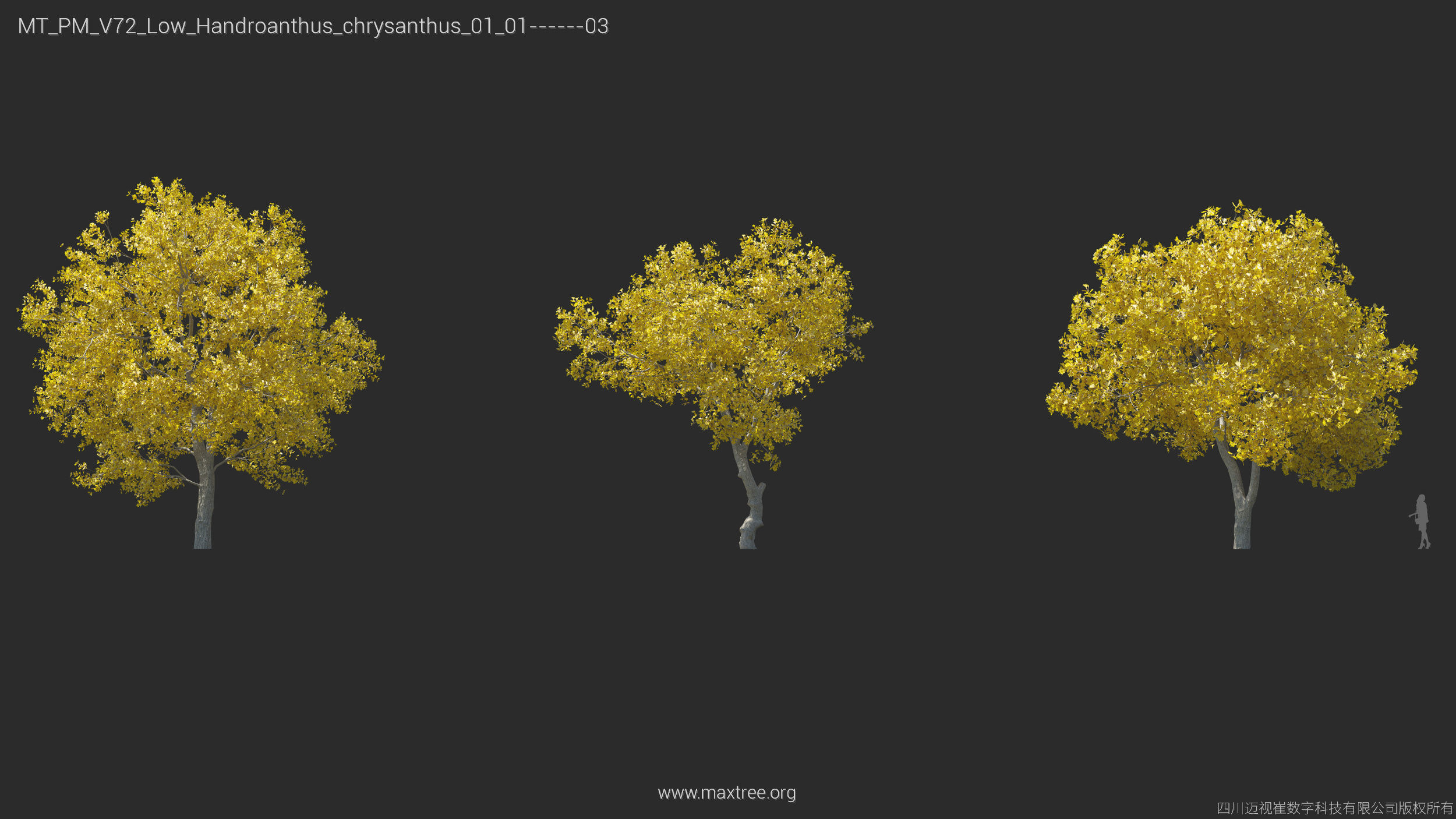 Maxtree Plant Models Vol 72 Low Poly - Mesh 3D model | CGTrader