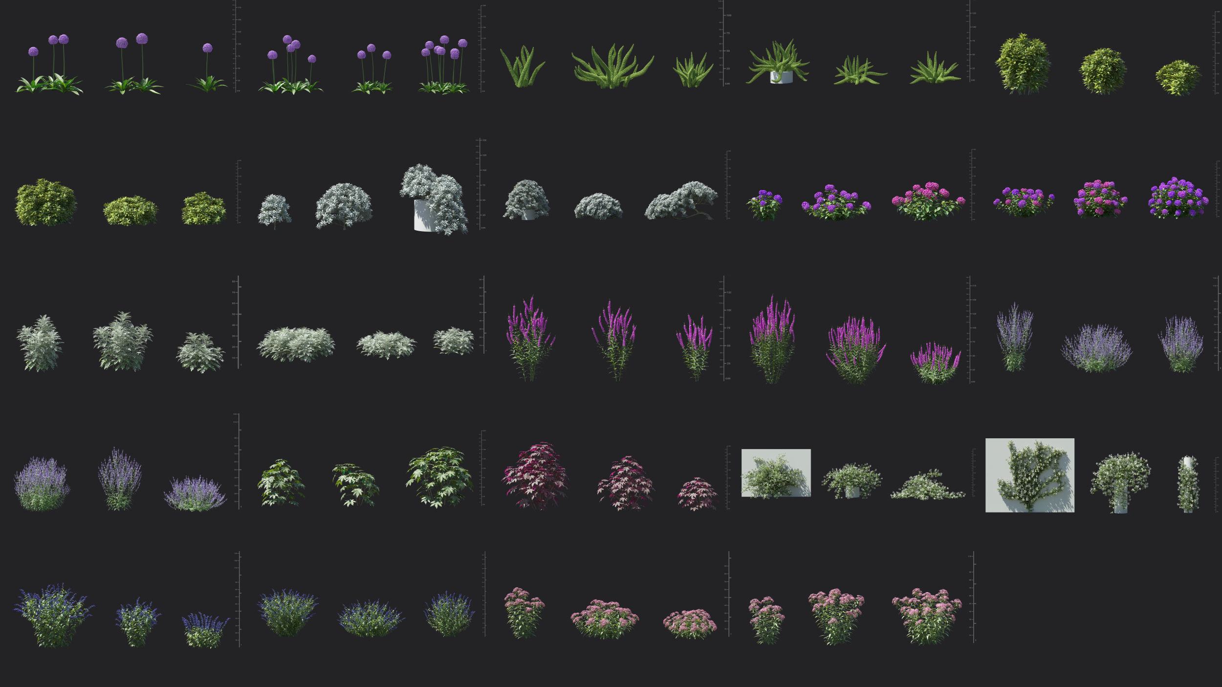 Maxtree Plant Models Vol 66 Low Poly - Mesh 3D model | CGTrader