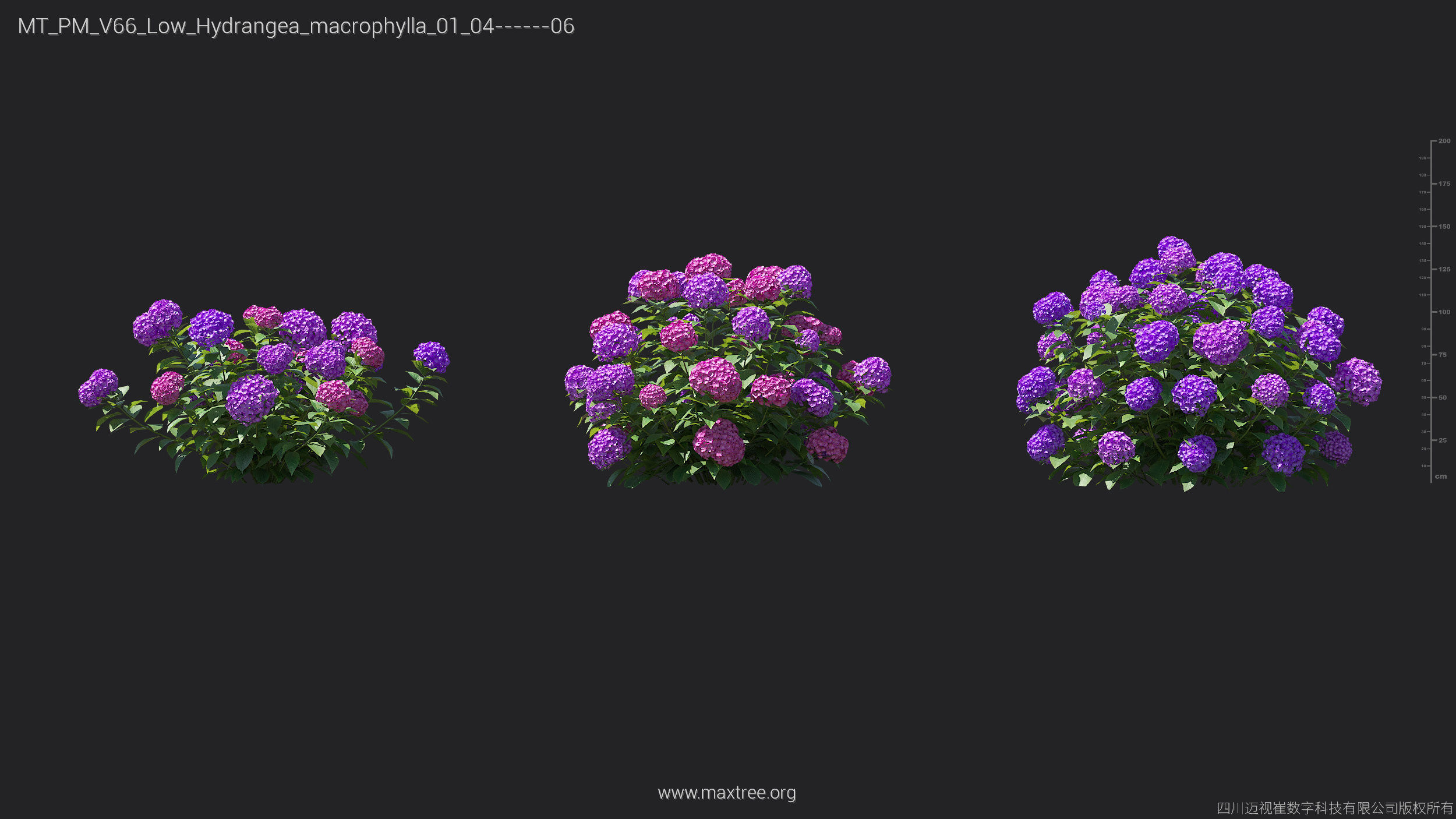 Maxtree Plant Models Vol 66 Low Poly - Mesh 3D model | CGTrader