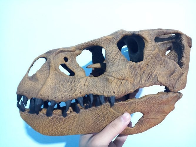 INDORAPTOR SKULL 3D PRINT 30CM 3D model 3D printable | CGTrader