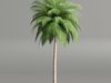 Palm trees collection 195-Blender 3D model | CGTrader