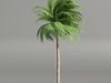 Palm trees collection 195-Blender 3D model | CGTrader