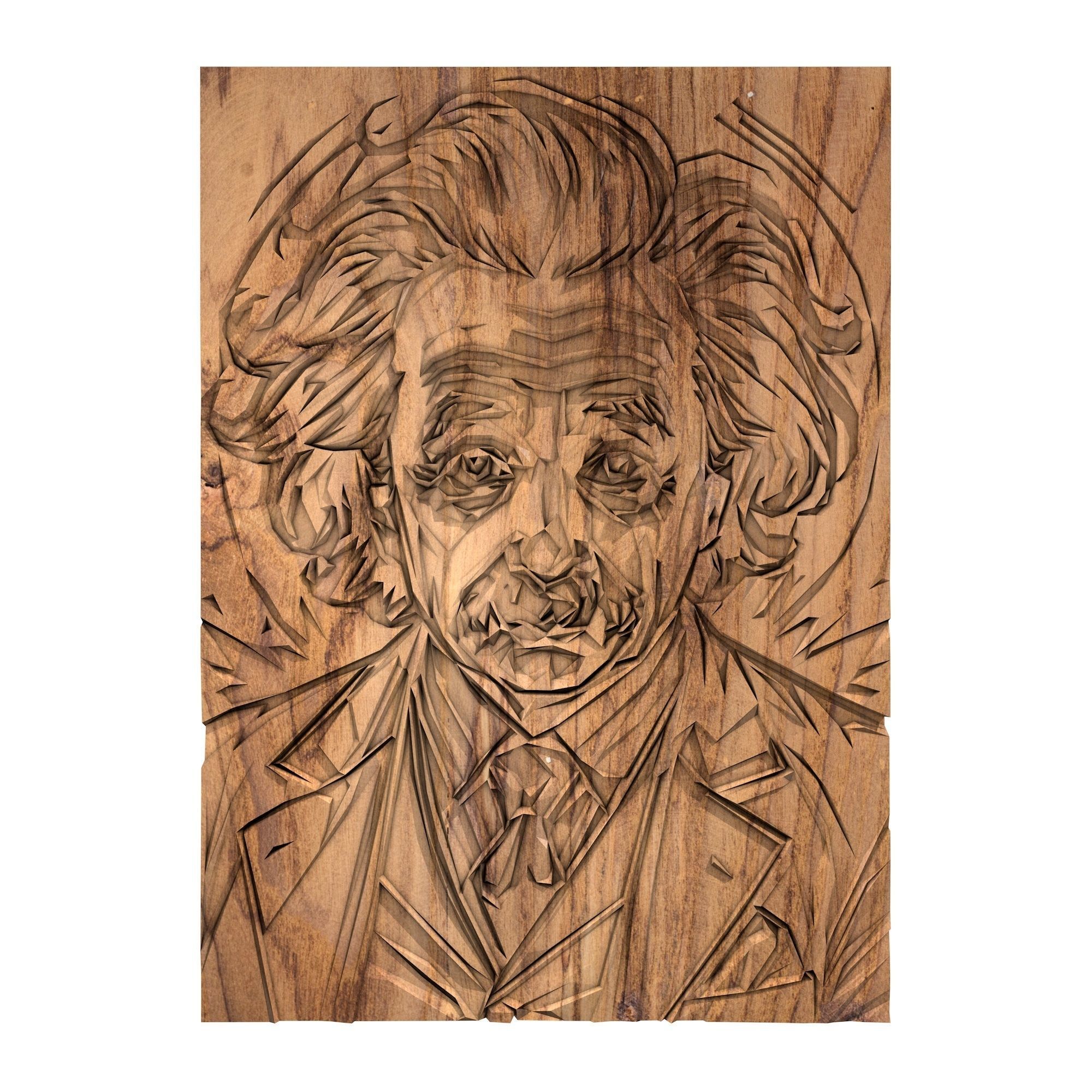Albert Einstein Home Decor Wall Art 3D model | CGTrader