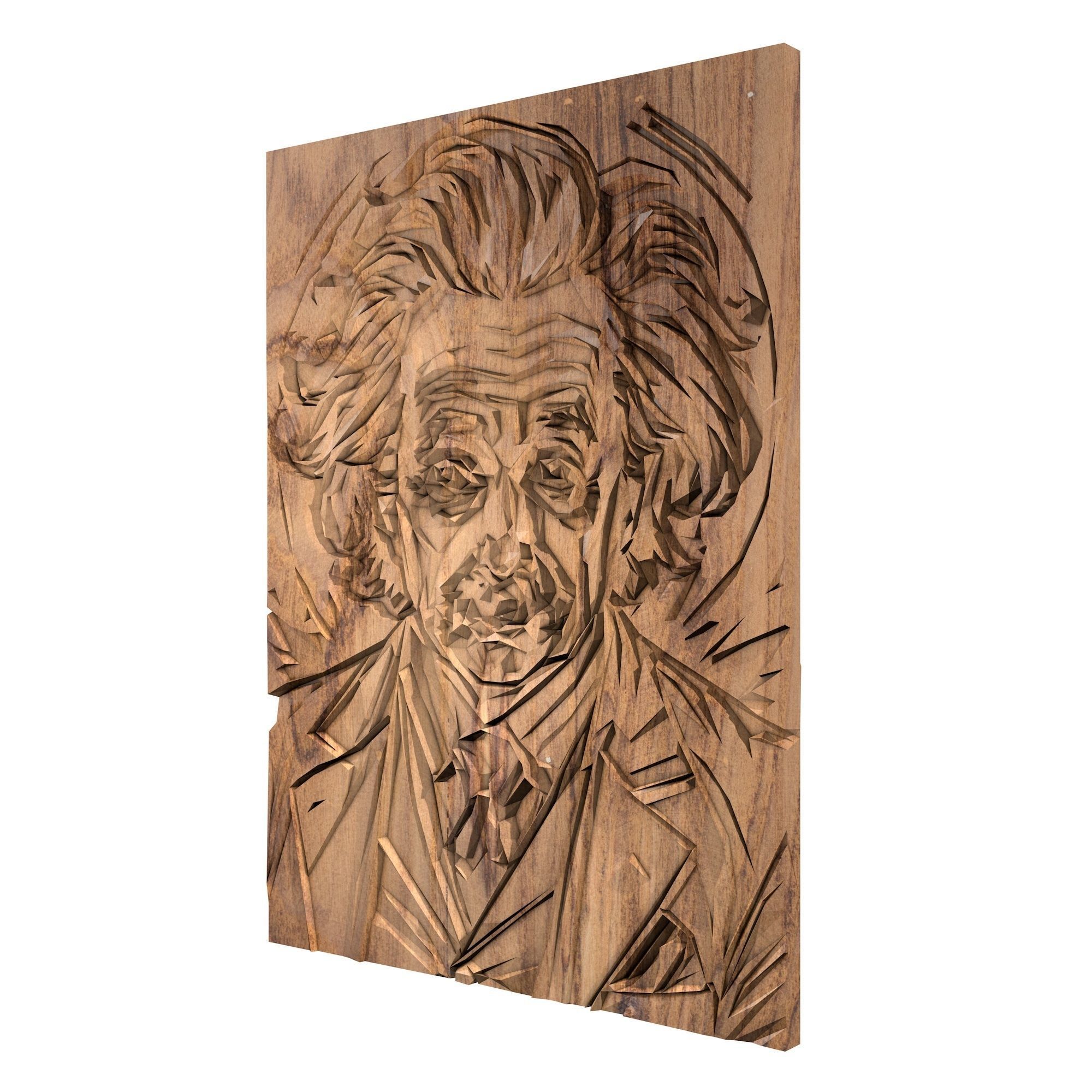 Albert Einstein Home Decor Wall Art 3D model | CGTrader