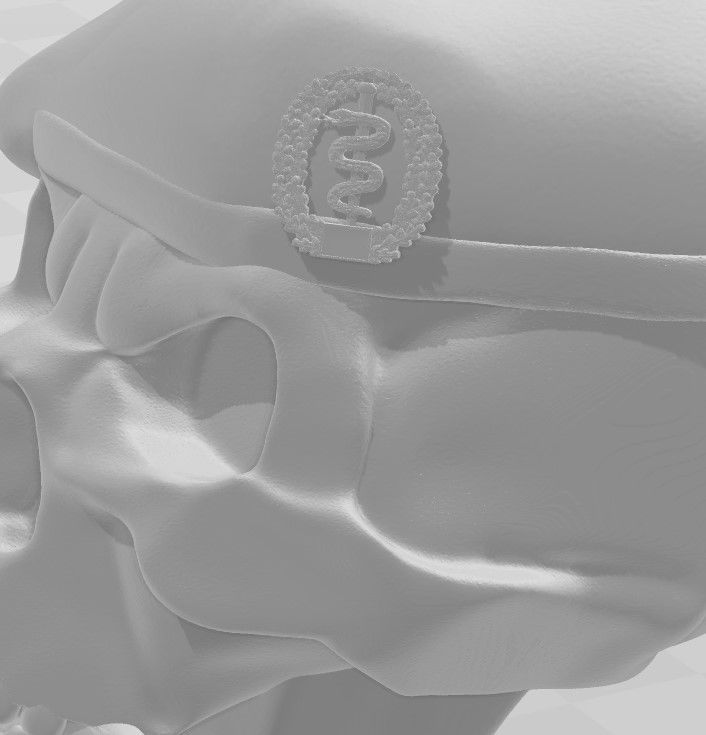 German Army Skulls with different Berets 3D model 3D printable | CGTrader