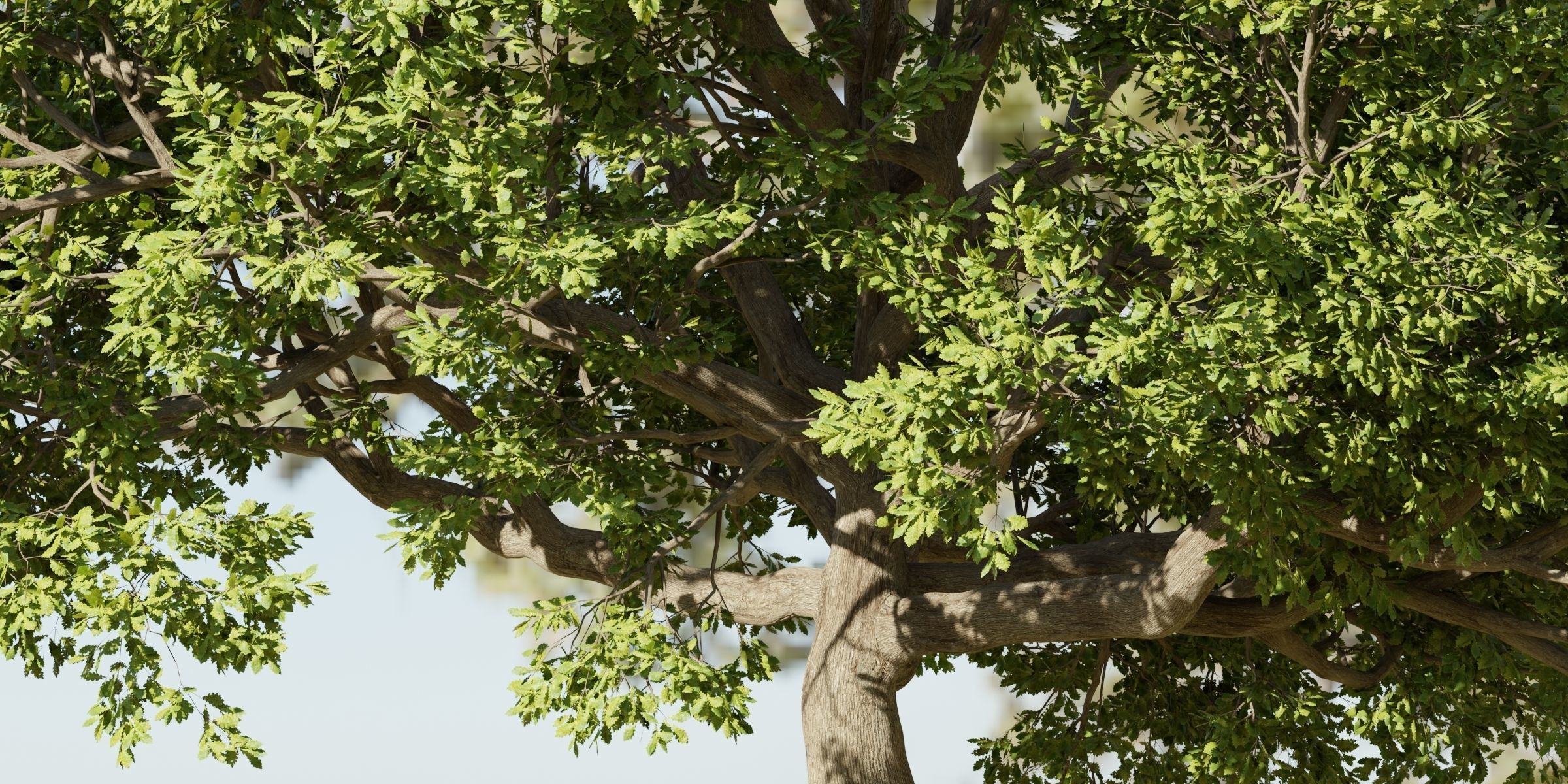 Oak Tree for landscapes vol 198-Blender 3D model | CGTrader