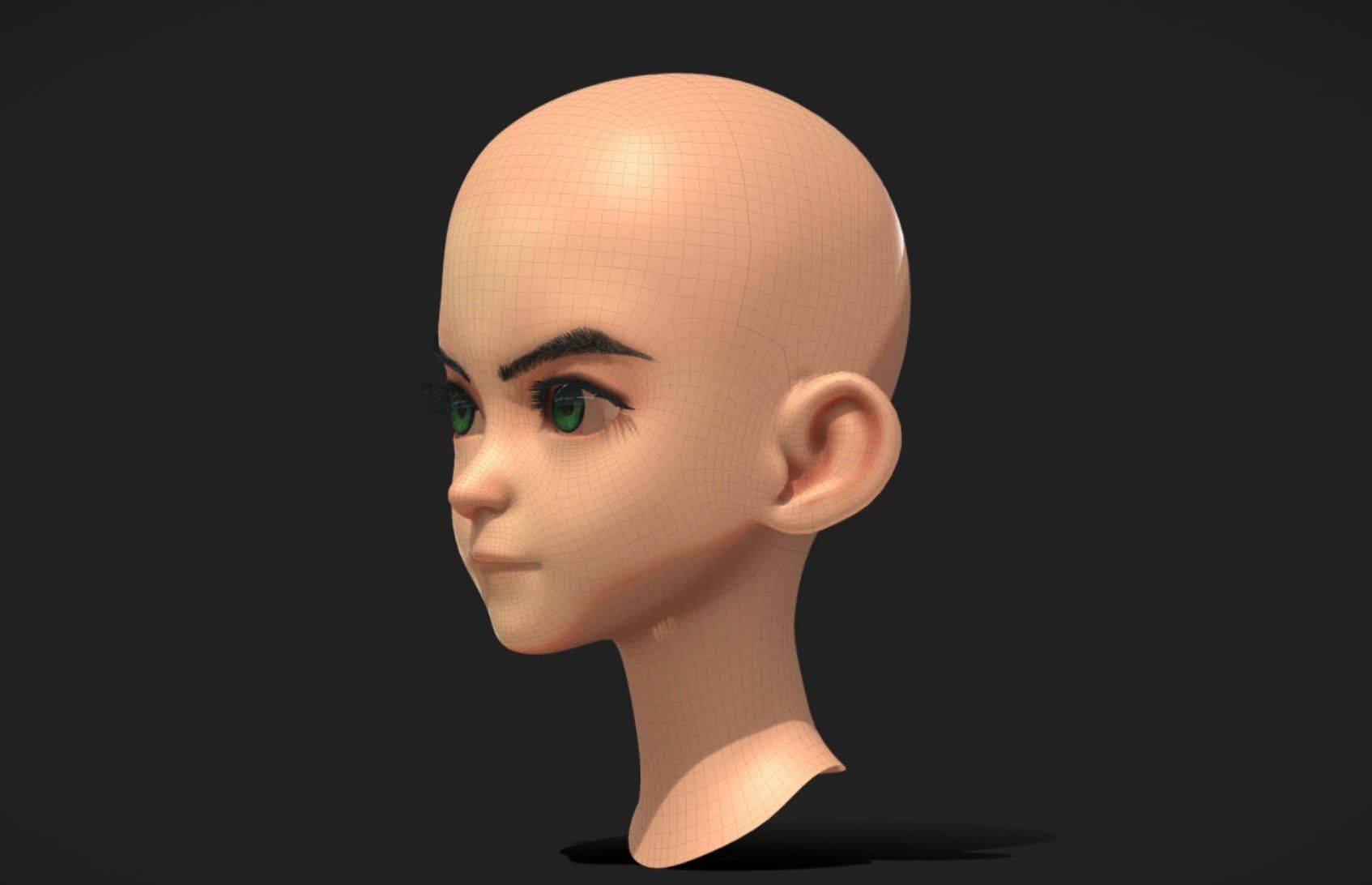 face Base 3D model | CGTrader