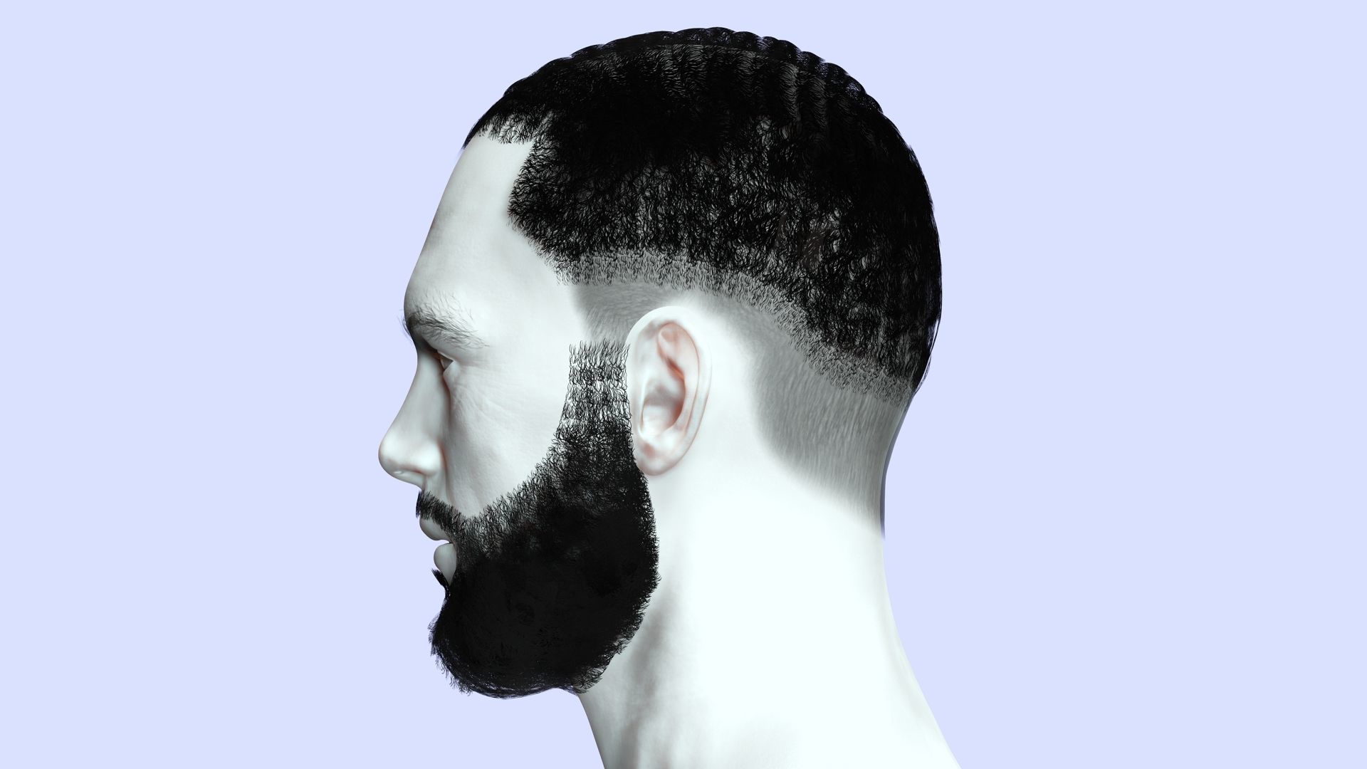 3D model Realistic Male Hair - Afro VR / AR / low-poly | CGTrader