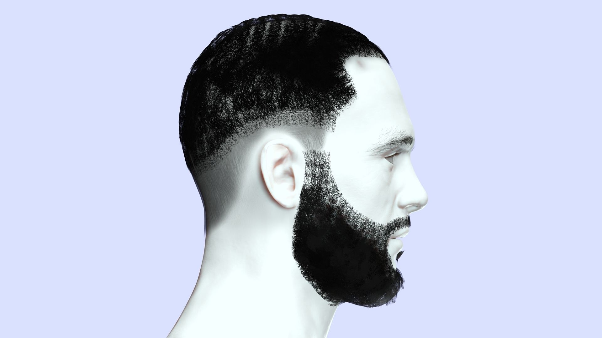 3D model Realistic Male Hair - Afro VR / AR / low-poly | CGTrader