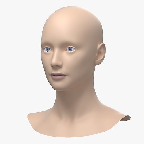 Natural Female Head 01 Base Mesh 3D model | CGTrader