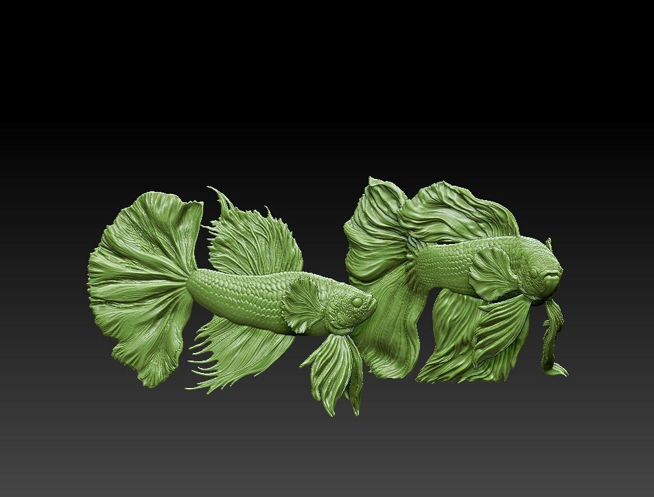 Betta fighting fish 2 models 3D model 3D printable | CGTrader
