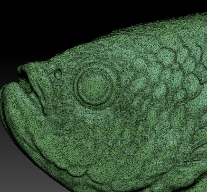 Betta fighting fish 2 models 3D model 3D printable | CGTrader