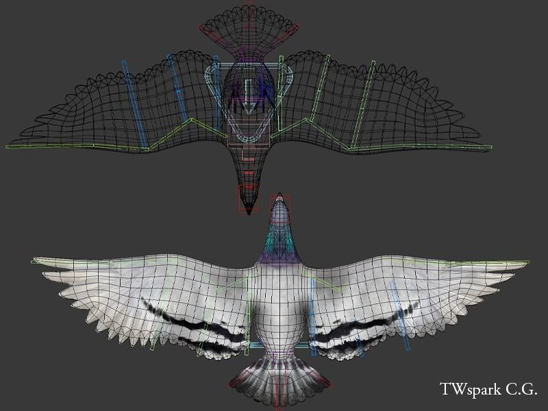 3D model Pigeon Rigged VR / AR / low-poly | CGTrader