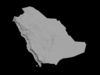 3D Topographical Map of Saudi Arabia 3D model 3D printable | CGTrader