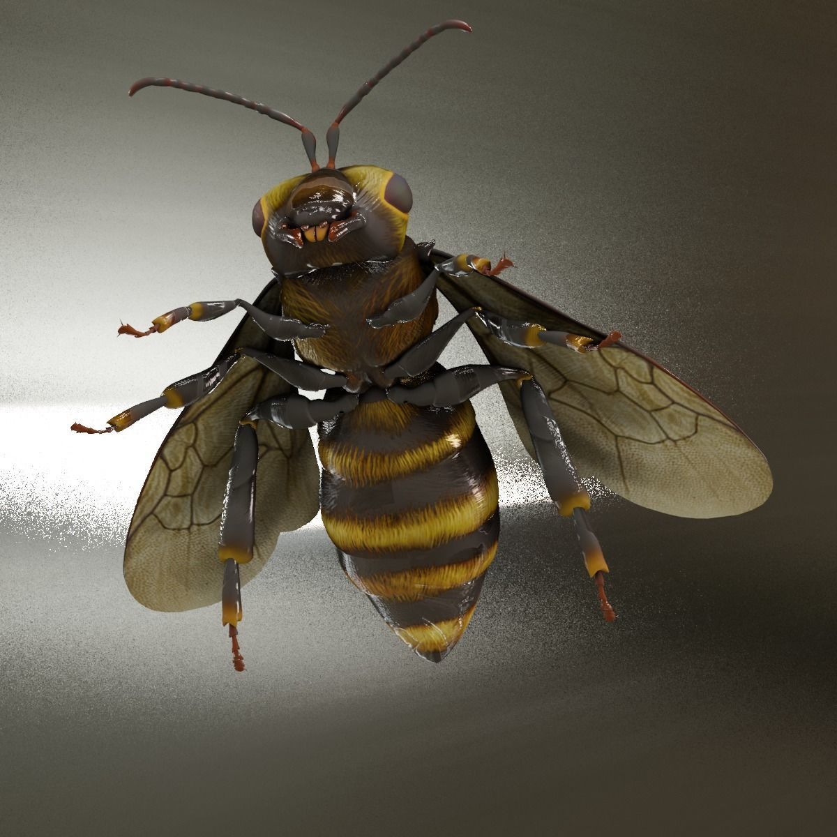 3D model Detailed Animated Bee 3D Model VR / AR / low-poly | CGTrader