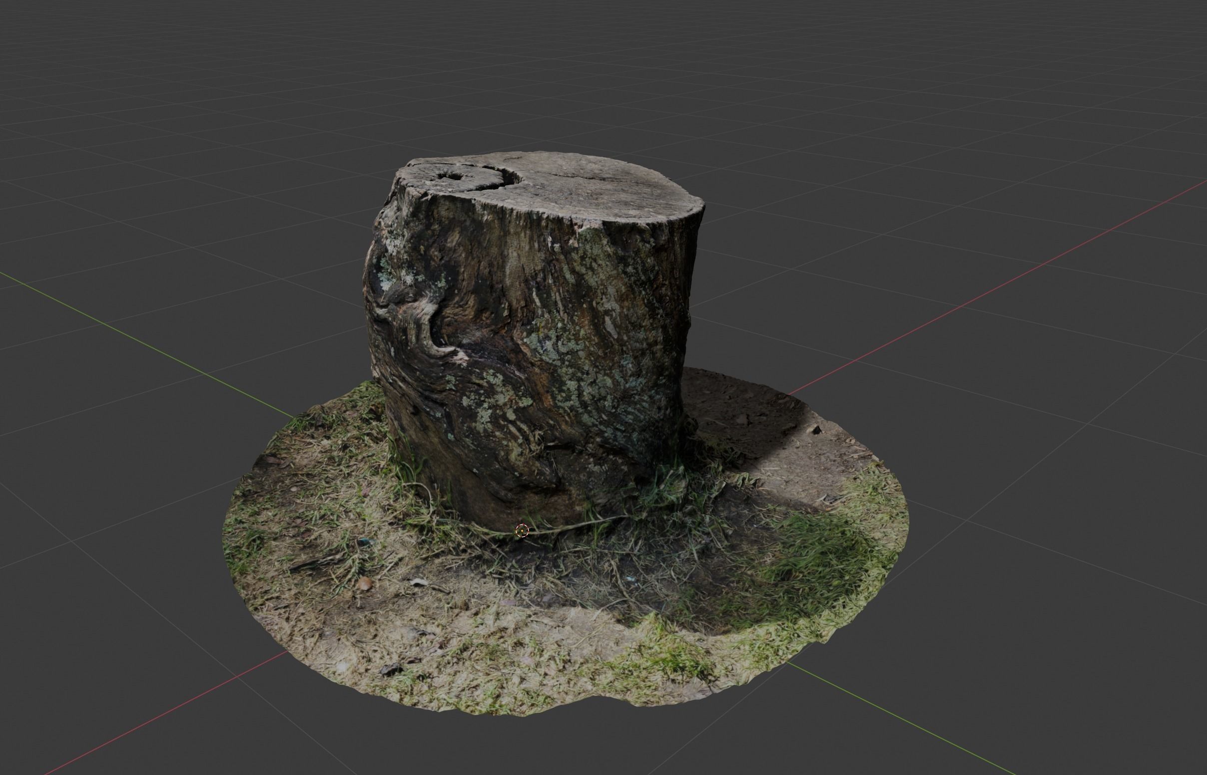 Tree Trunk 3D model with High Detail Photogrammetry 3D model | CGTrader