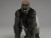 Silverback Gorilla Animation VFX Grace 3D model animated rigged | CGTrader