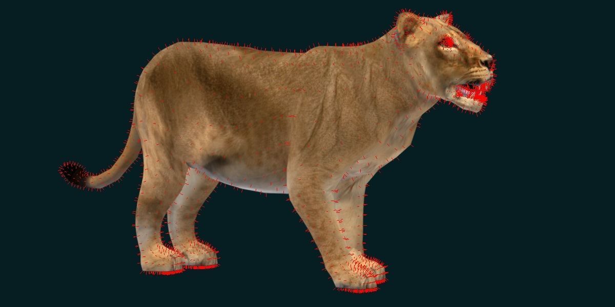 3D model Southern African Lion VR / AR / low-poly rigged animated ...