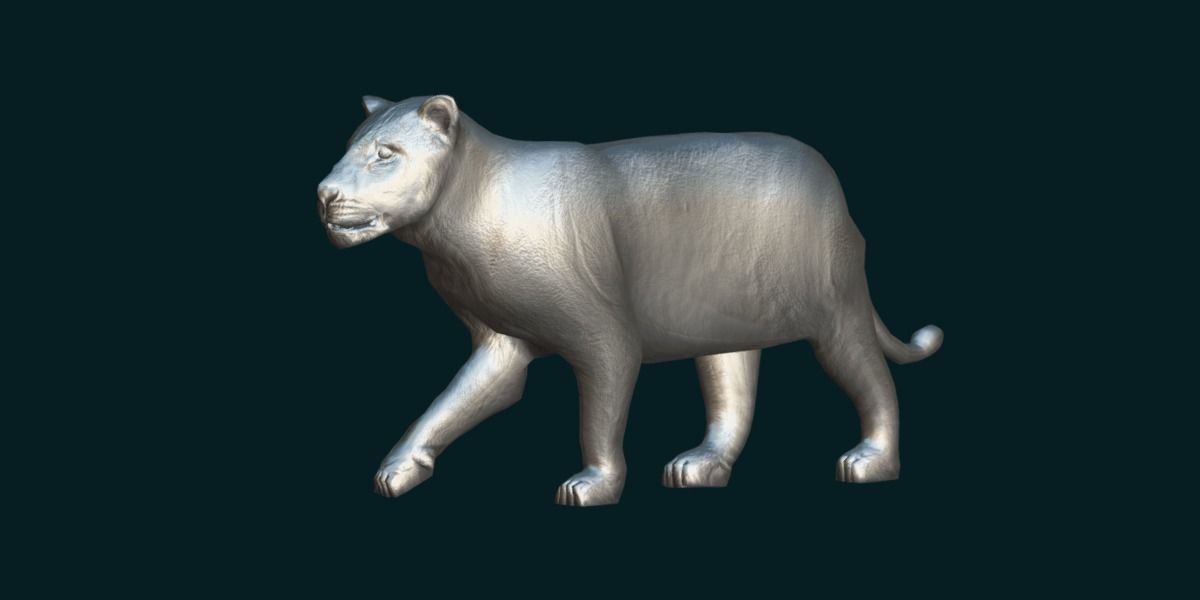 3D model Southern African Lion VR / AR / low-poly rigged animated ...