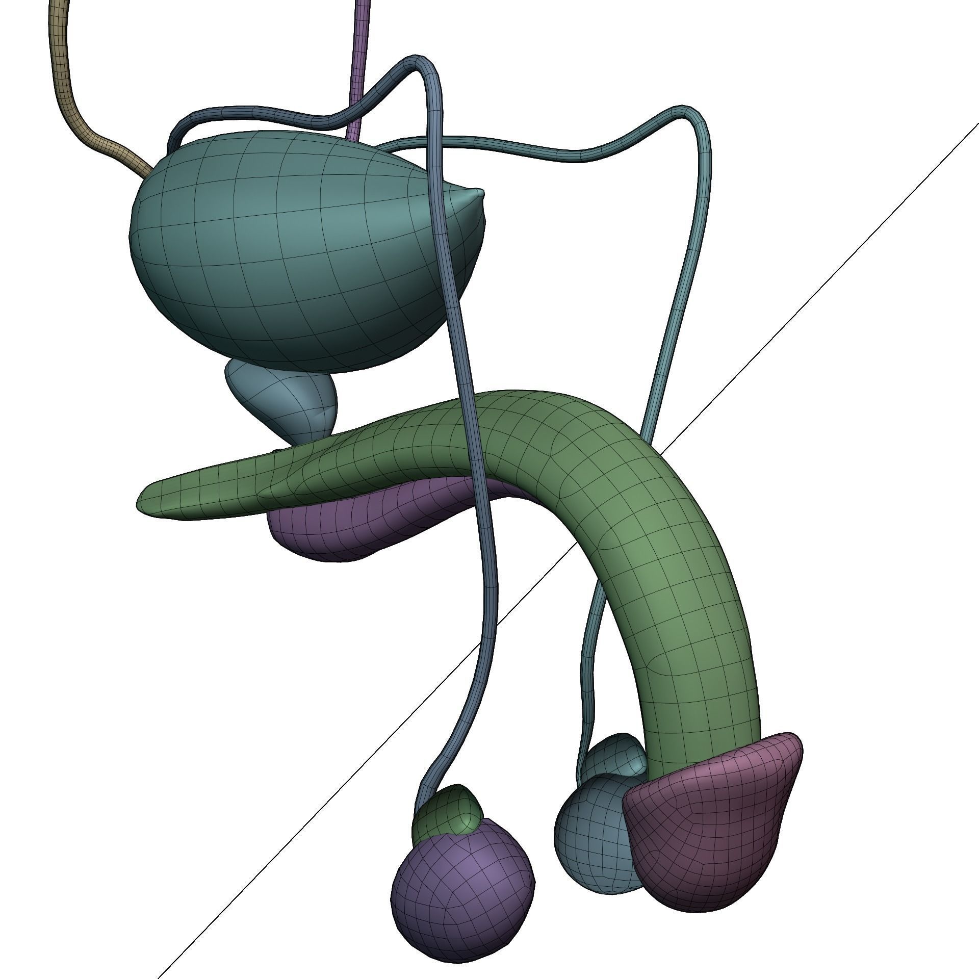 Male Reproductive System 3D model | CGTrader