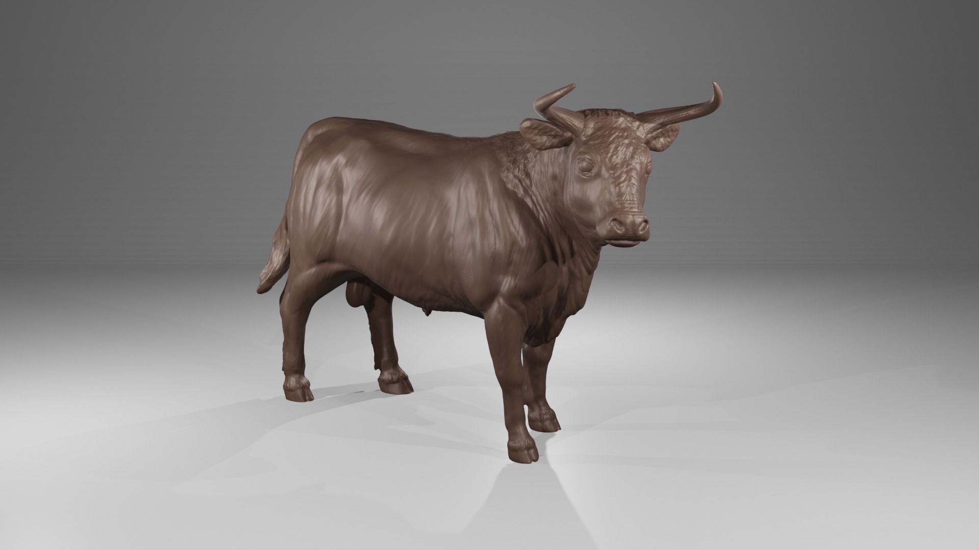 realistic Standing Heck cattle or fighting bull steer 3D model 3D printable | CGTrader