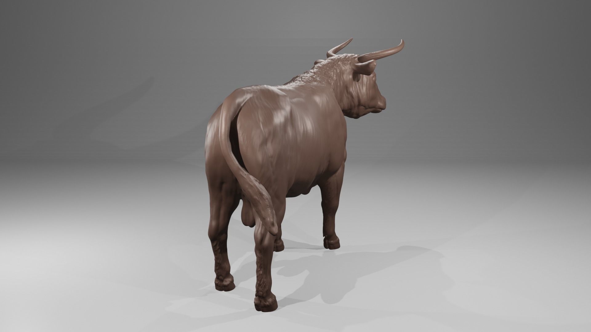 realistic Standing Heck cattle or fighting bull steer 3D model 3D printable | CGTrader