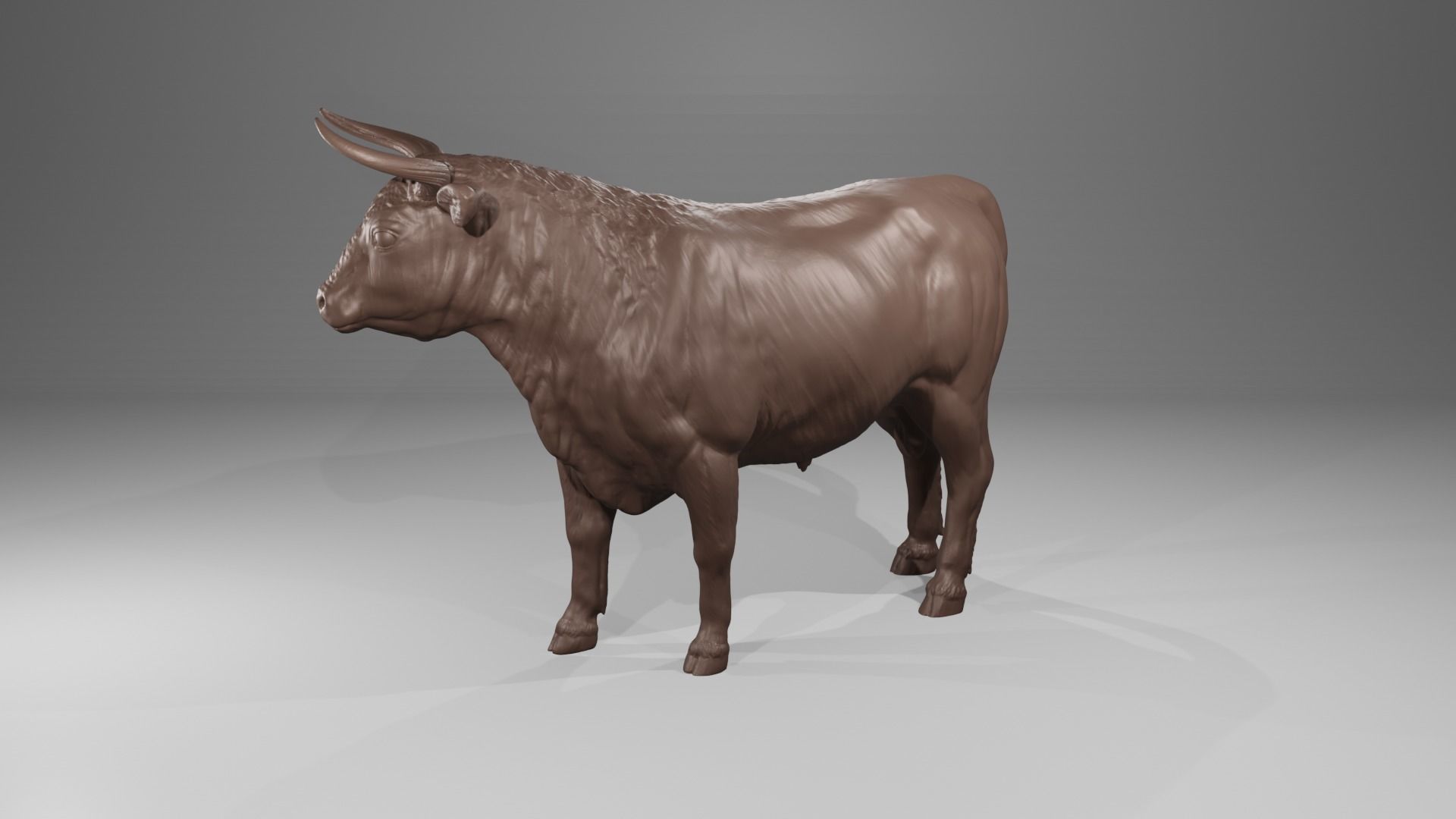 realistic Standing Heck cattle or fighting bull steer 3D model 3D printable | CGTrader