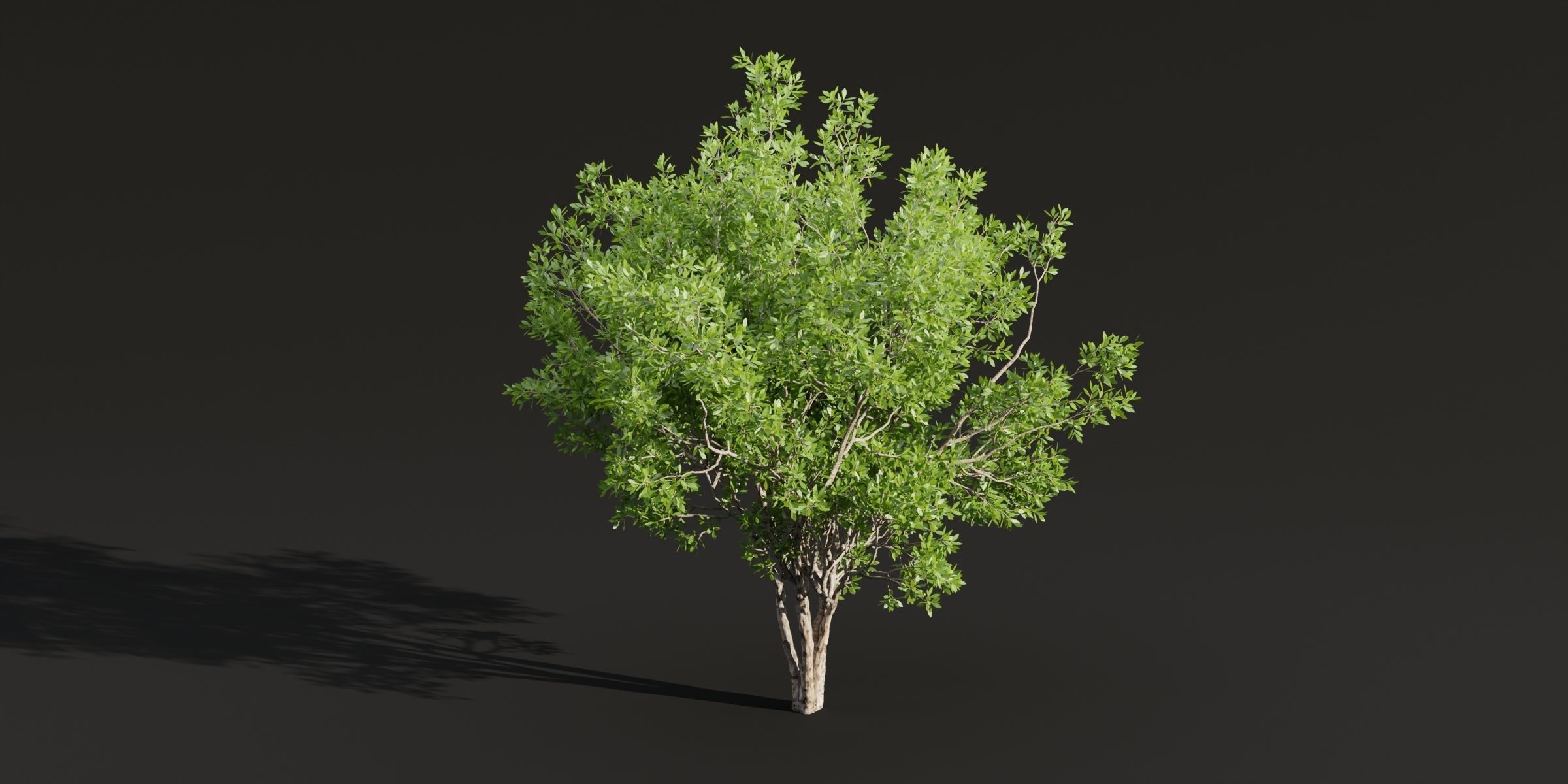 Trees for landscape collection vol 204-Blender 3D model | CGTrader