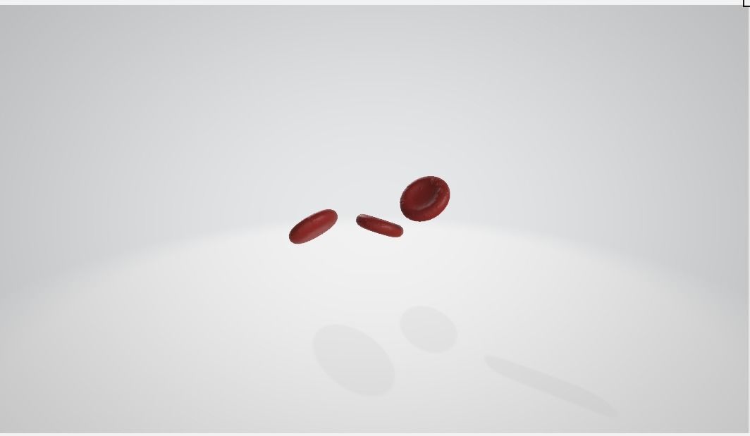 Red Blood Cell Model 3D model animated rigged | CGTrader