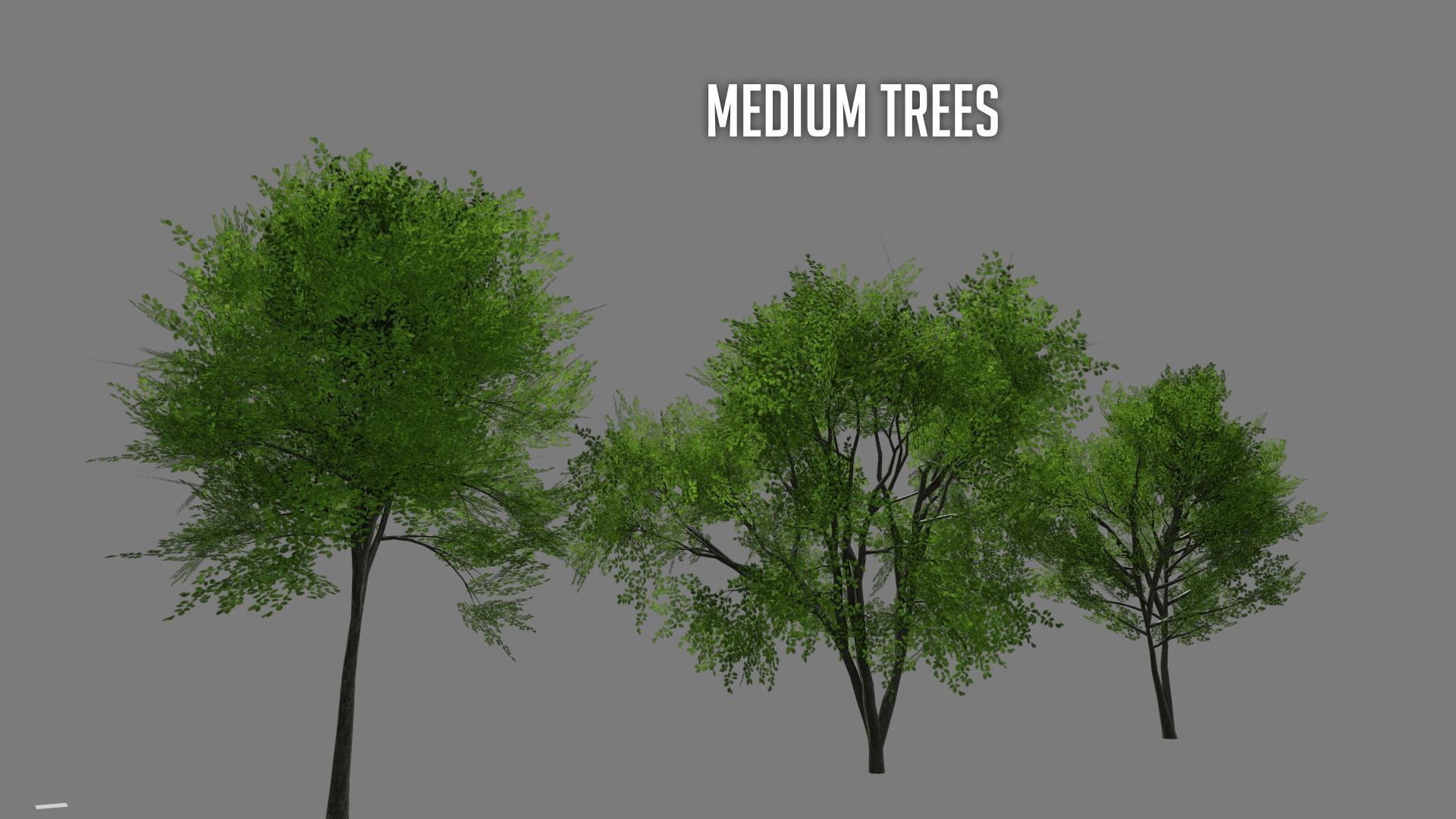3D model Forest Tree Set VR / AR / low-poly | CGTrader