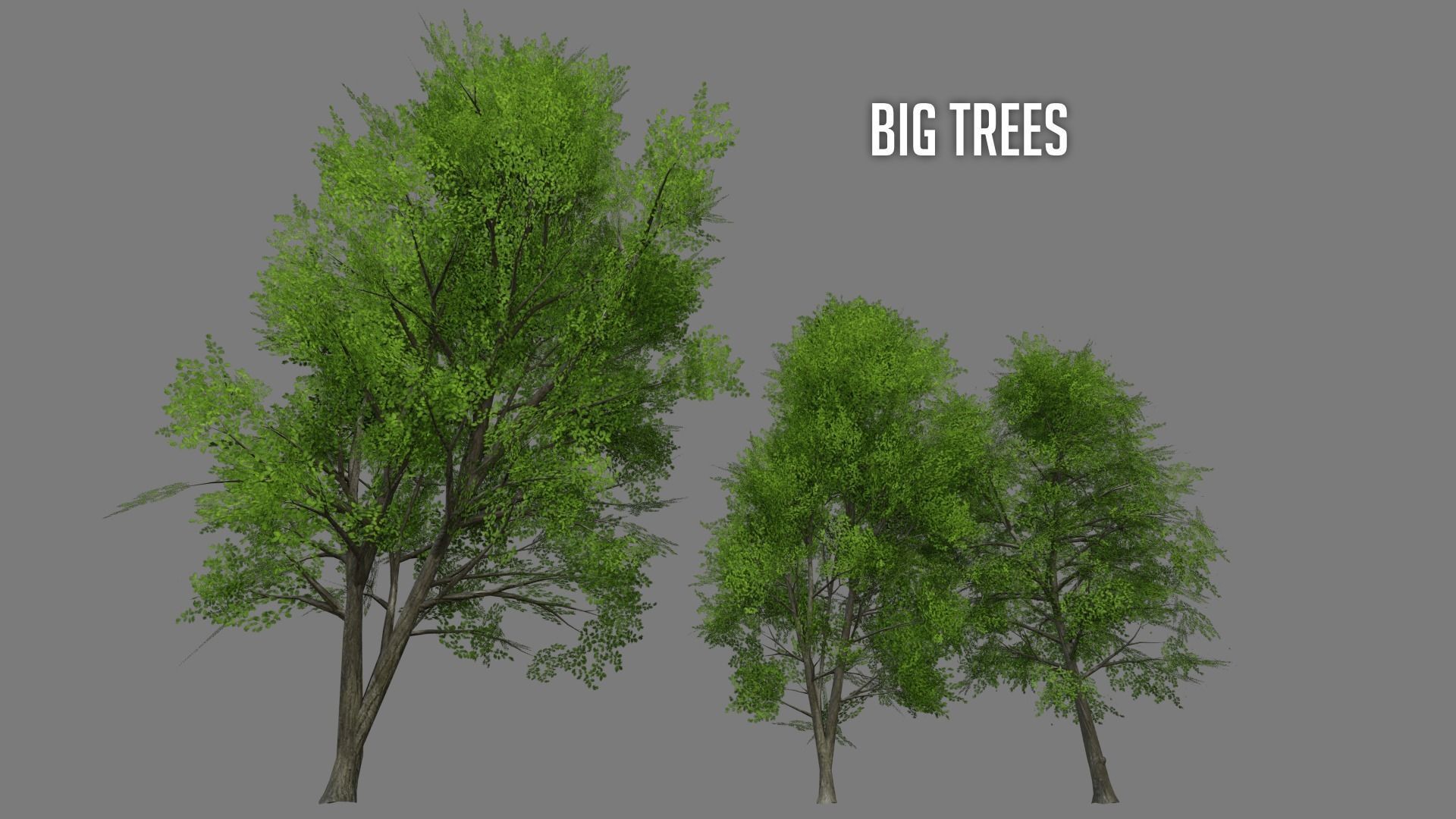 3D model Forest Tree Set VR / AR / low-poly | CGTrader