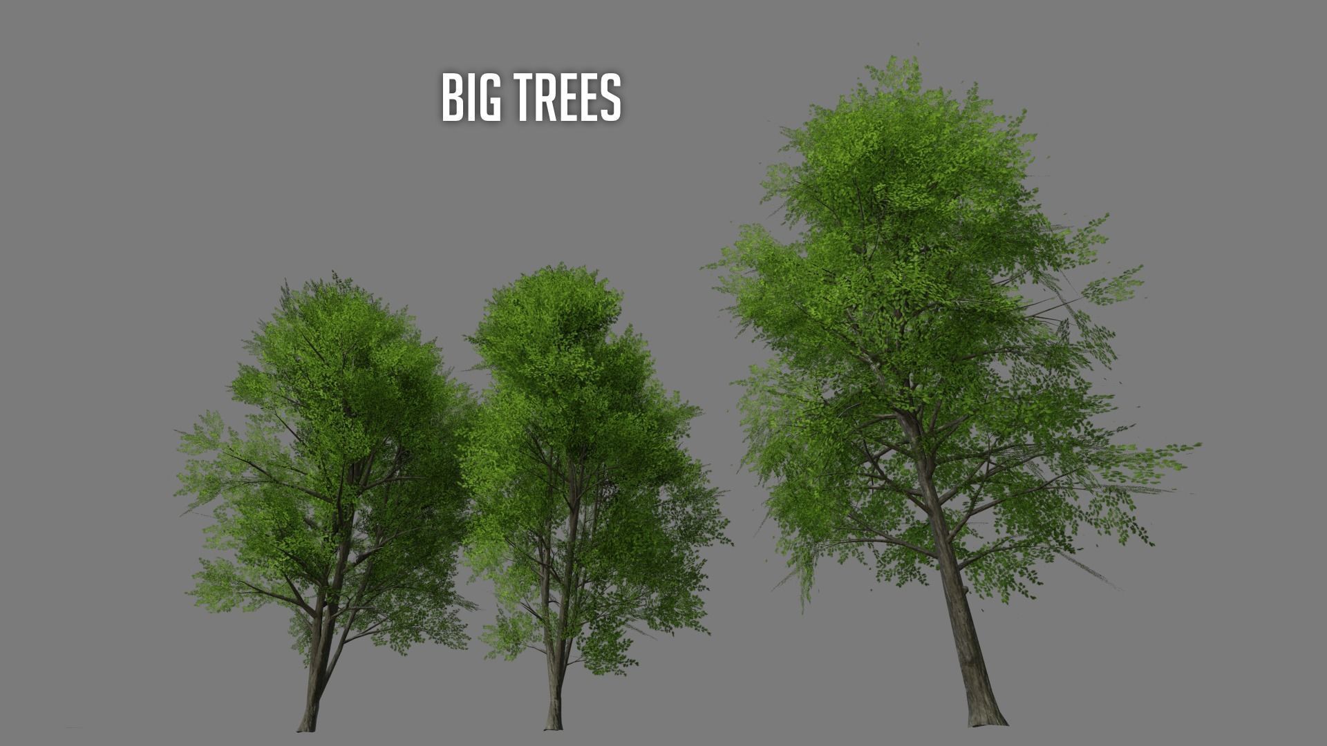 3D model Forest Tree Set VR / AR / low-poly | CGTrader