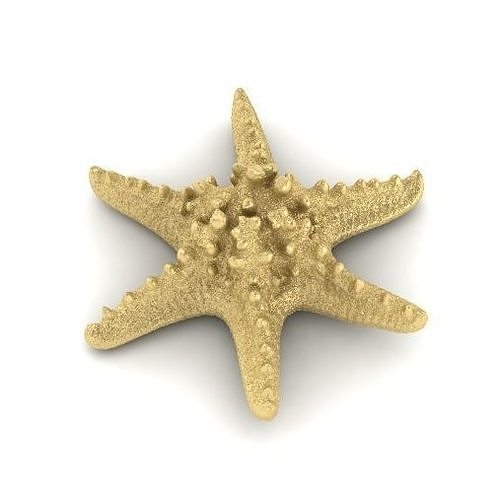 Starfish N012001 3D model 3D printable | CGTrader