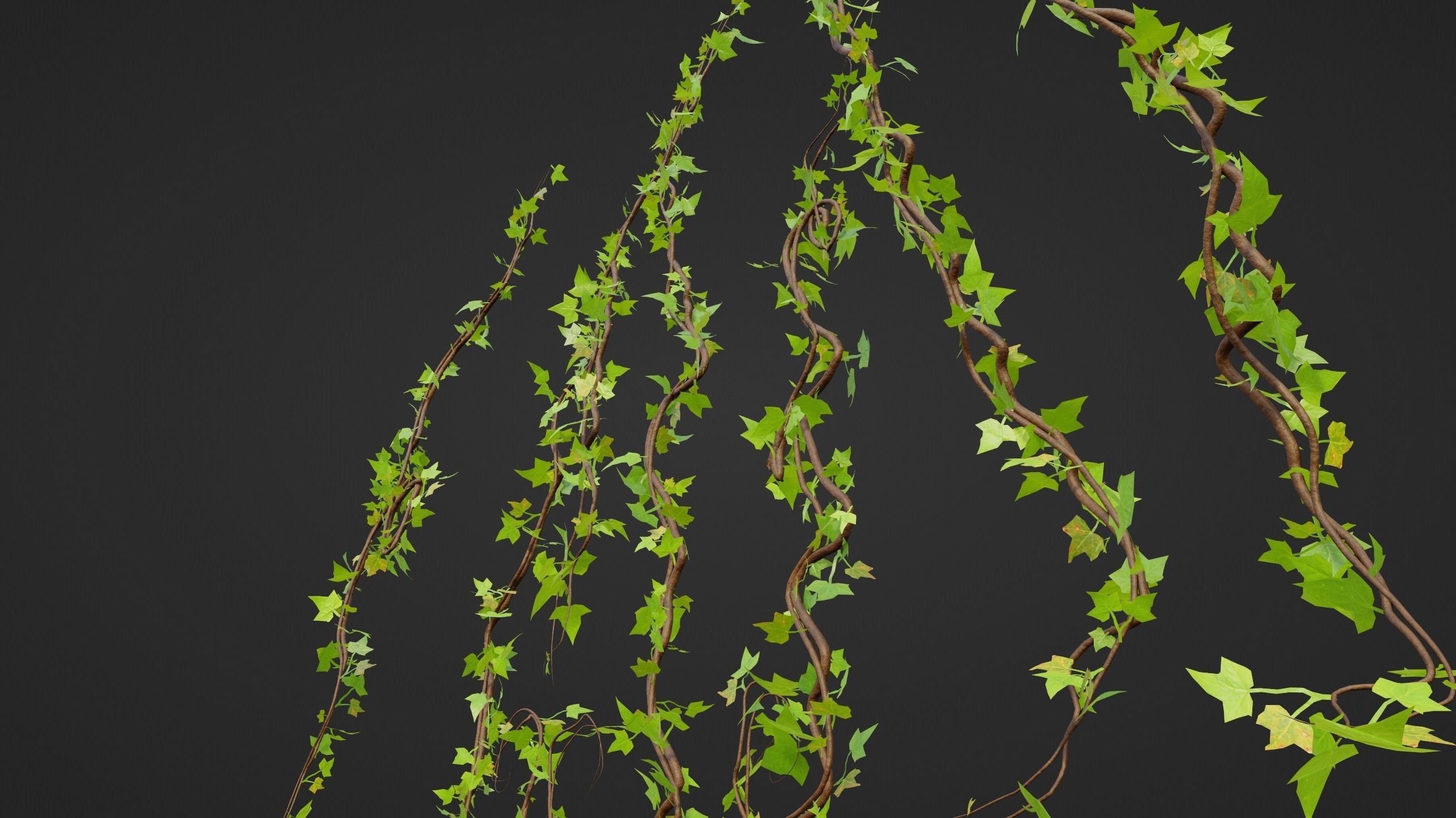 Ivy and Vines - Geometry Nodes - Blender 3D model | CGTrader