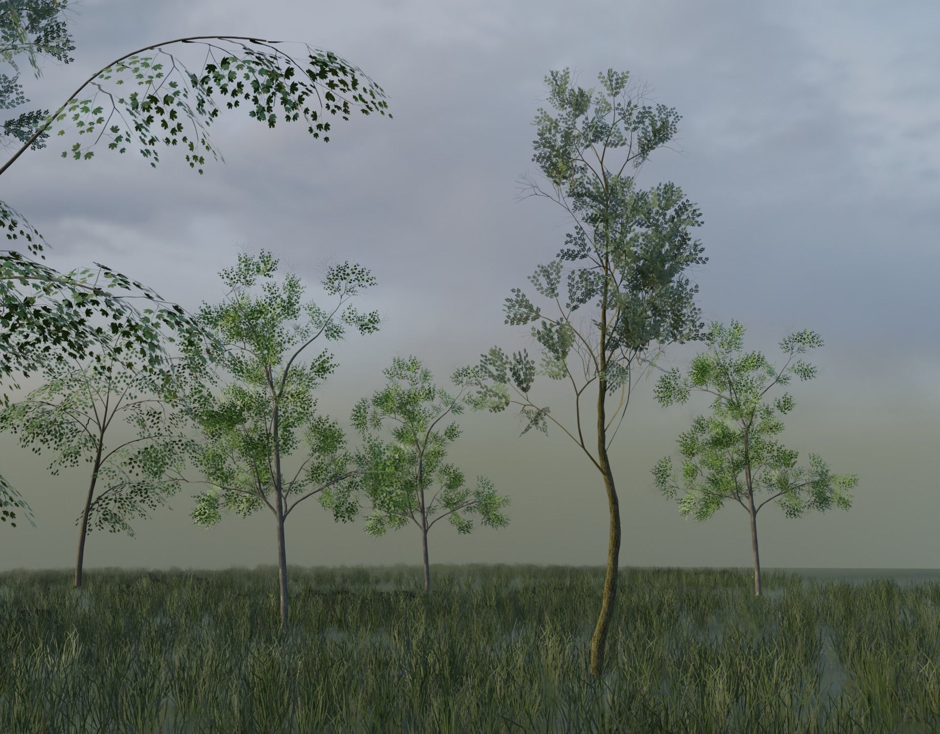 Mid to Low Poly Broadleaf Tree Collection free VR / AR / low-poly 3D ...
