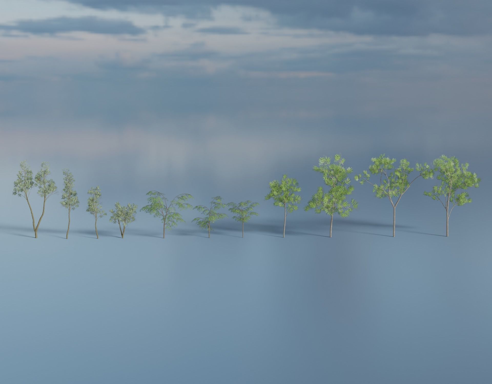 Mid to Low Poly Broadleaf Tree Collection free VR / AR / low-poly 3D ...