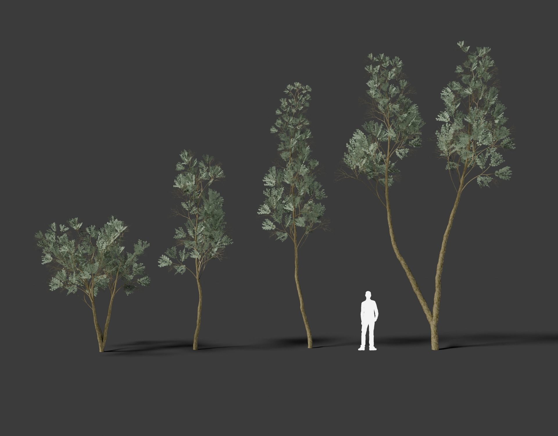 Mid to Low Poly Broadleaf Tree Collection free VR / AR / low-poly 3D ...