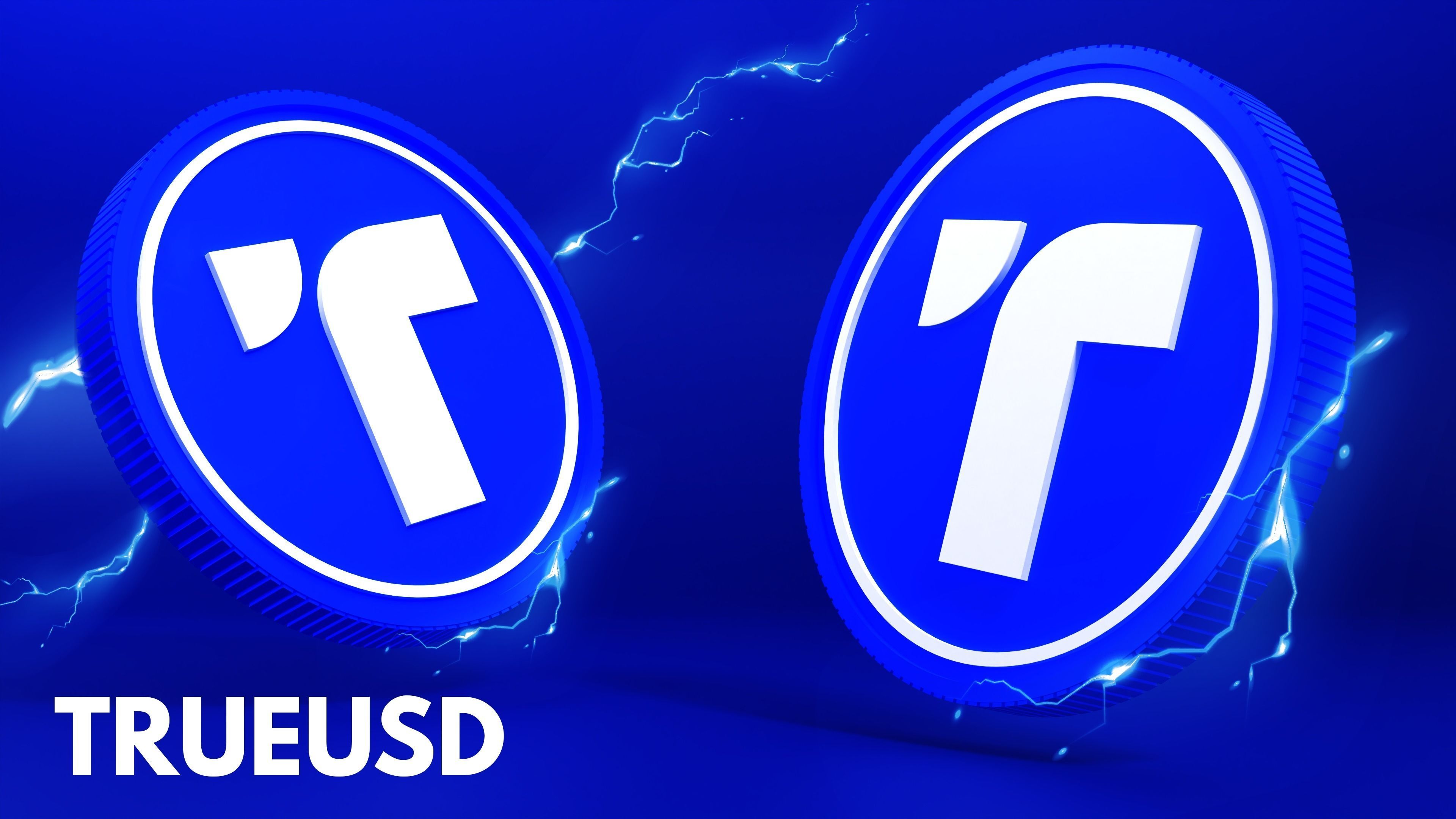 True USD 3D Model 3D model | CGTrader