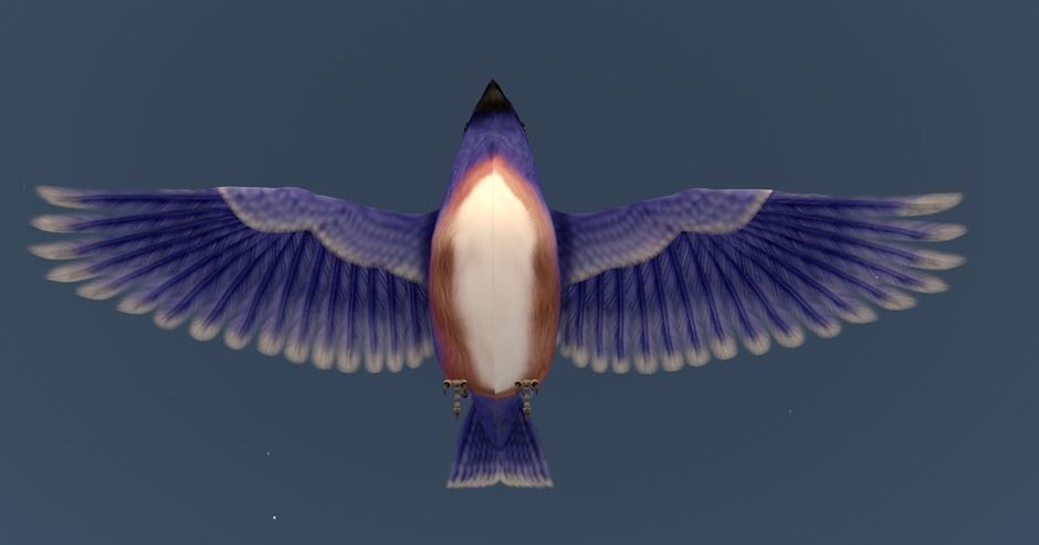 3D model Songbird Animation fly VR / AR / low-poly | CGTrader