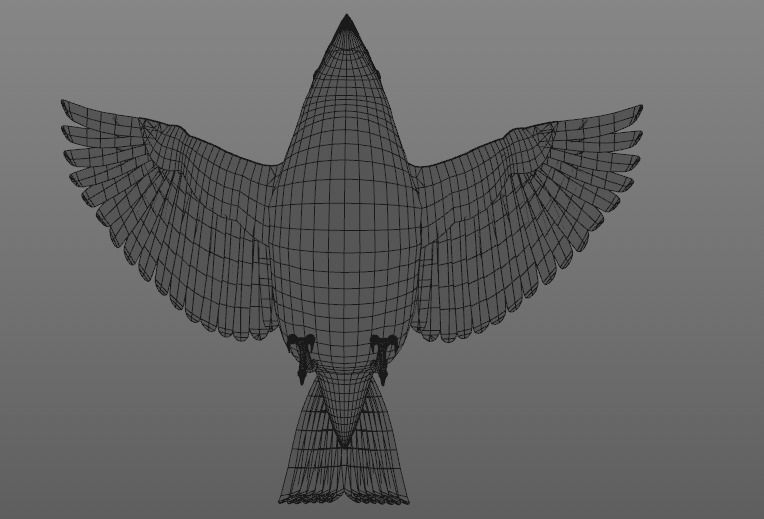 3D model Songbird Animation fly VR / AR / low-poly | CGTrader