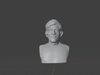 Aaron Swartz 3D model 3D printable | CGTrader