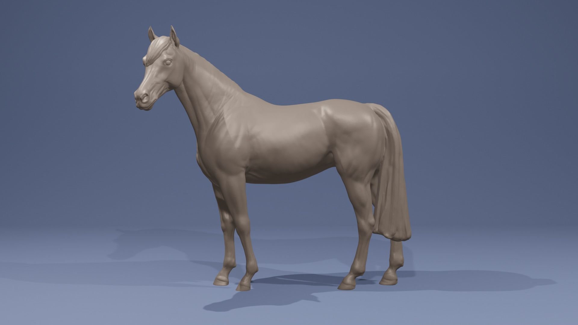 Realistic Arabian Horse Gelding Racehorse 3D model 3D printable | CGTrader