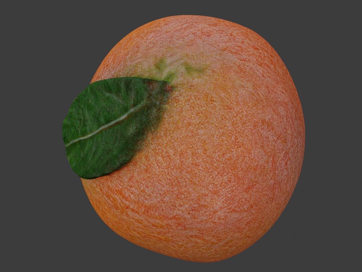 Realistic high quality Orange - Fruit 3D model | CGTrader