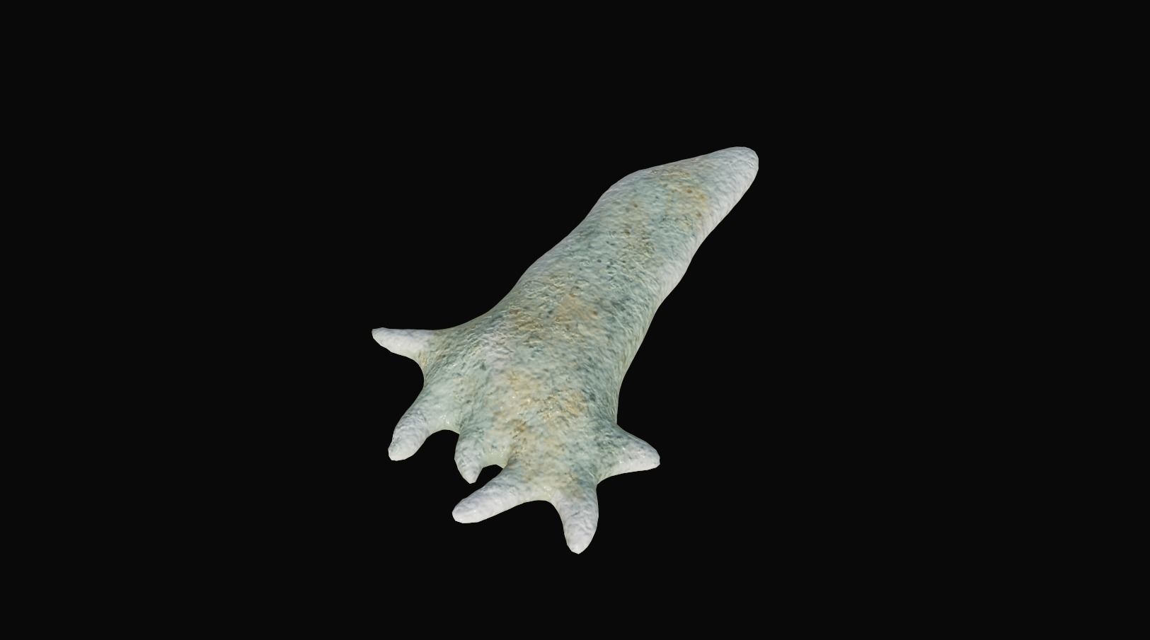 Eukaryotic Microbe Amoeba proteus 3D model animated | CGTrader