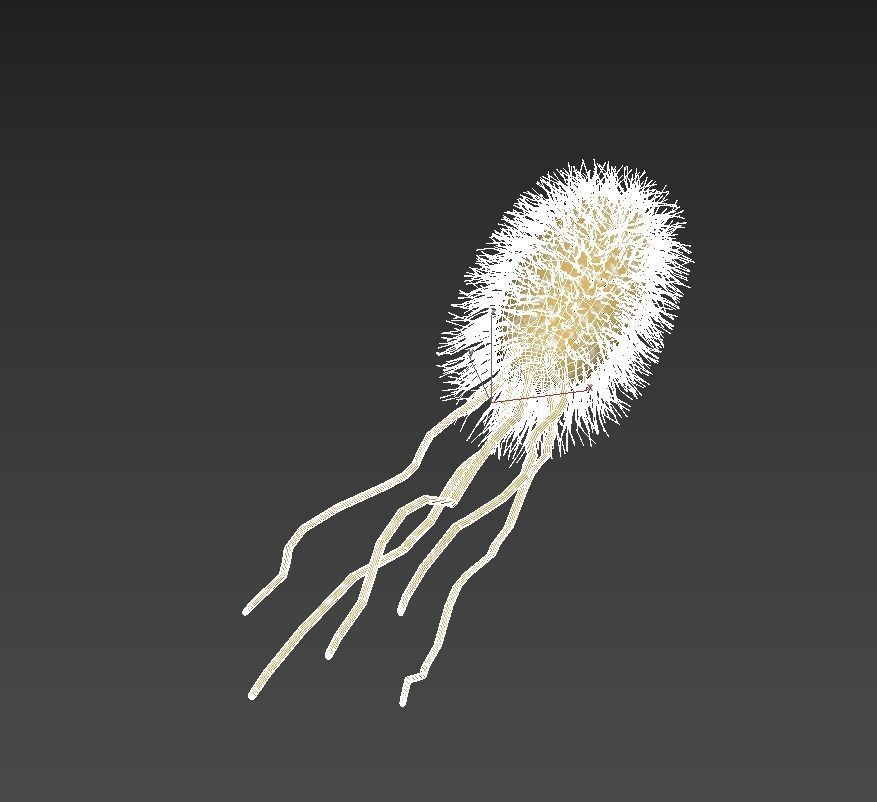 3D model Bacteria Pack VR / AR / low-poly | CGTrader