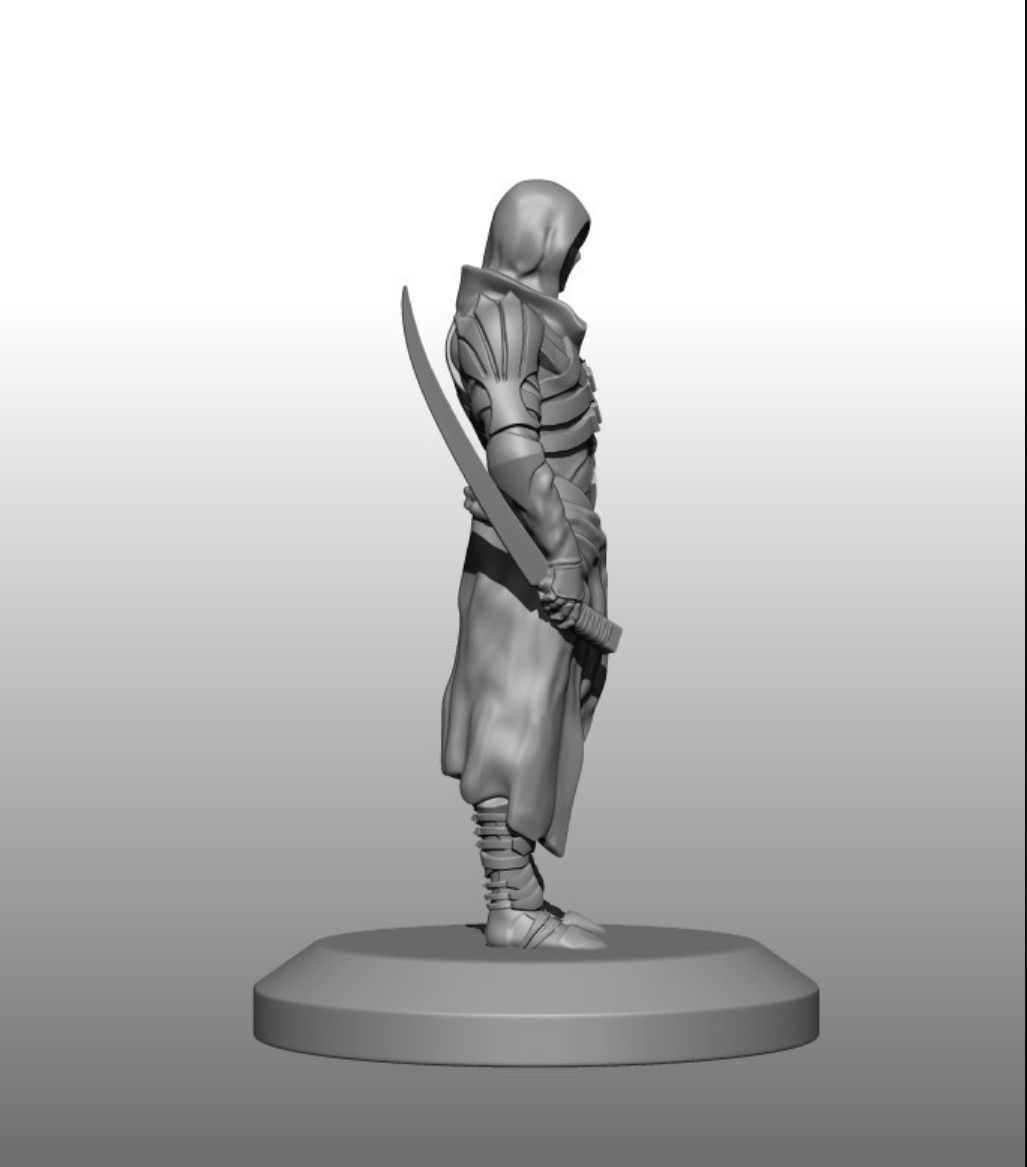 Assassin from game Assassins Creed 3D model 3D printable | CGTrader